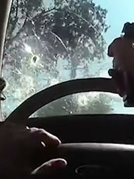 Firearms | Locked Back Training